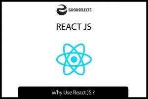 Why Use ReactJS ? | Good Selects