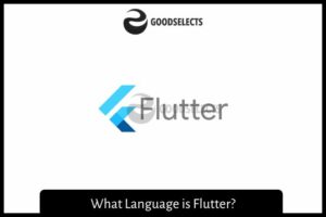 What Language is Flutter? Read this! | Good Selects